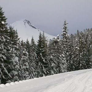 Snowshoeing on Mount Hood | Outdoor Project