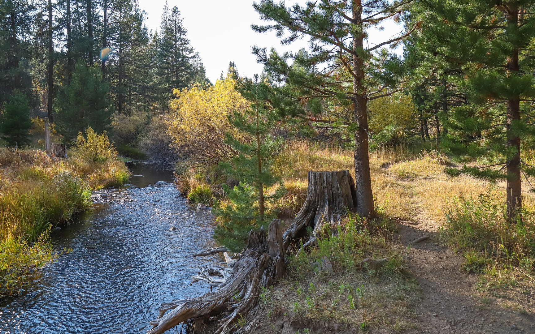 Sagehen Creek | Outdoor Project