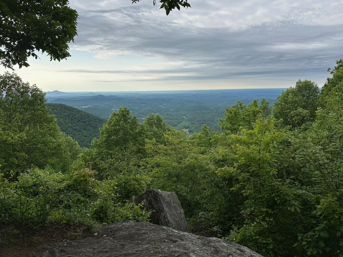 Appalachian Trail: Springer Mountain to Neel Gap | Outdoor Project