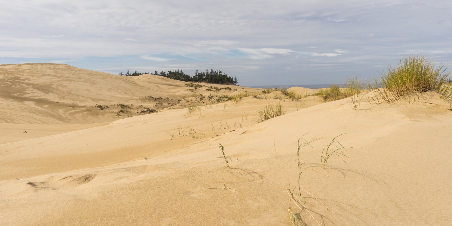 Guide to the Oregon Dunes National Recreation Area | Outdoor Project