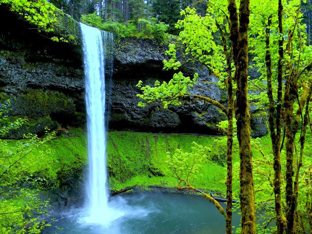 Silver Falls, Trail of 10 Falls | Outdoor Project